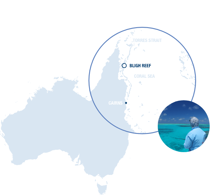 Bligh Reef, Log and Ferguson Reef | Nomad Sport Fishing